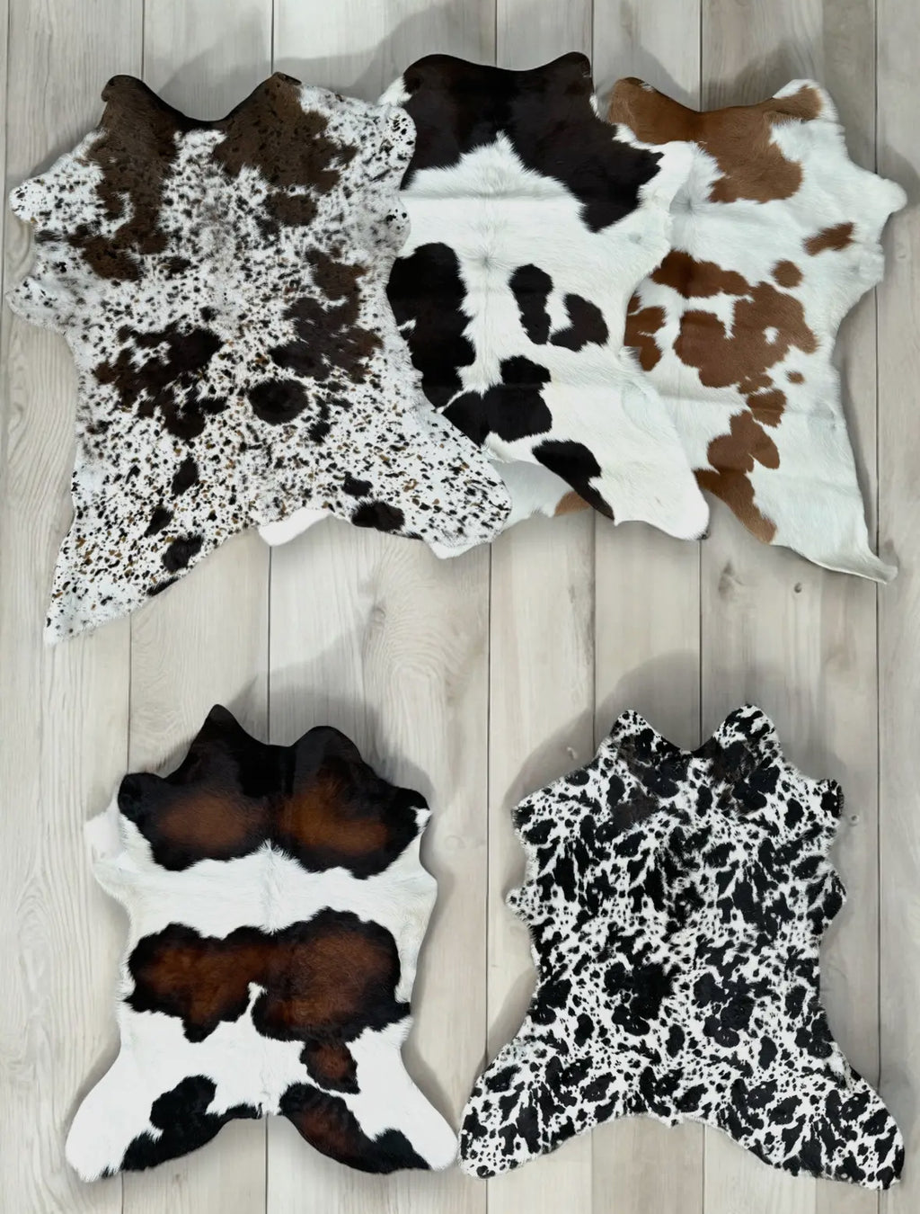 Calf hides - Best Sellers – Western Linens